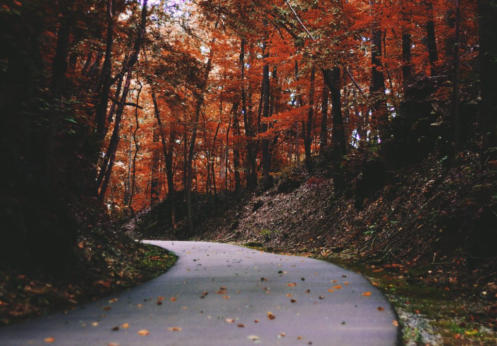 8 Amazing States to See the Best Fall Foliage